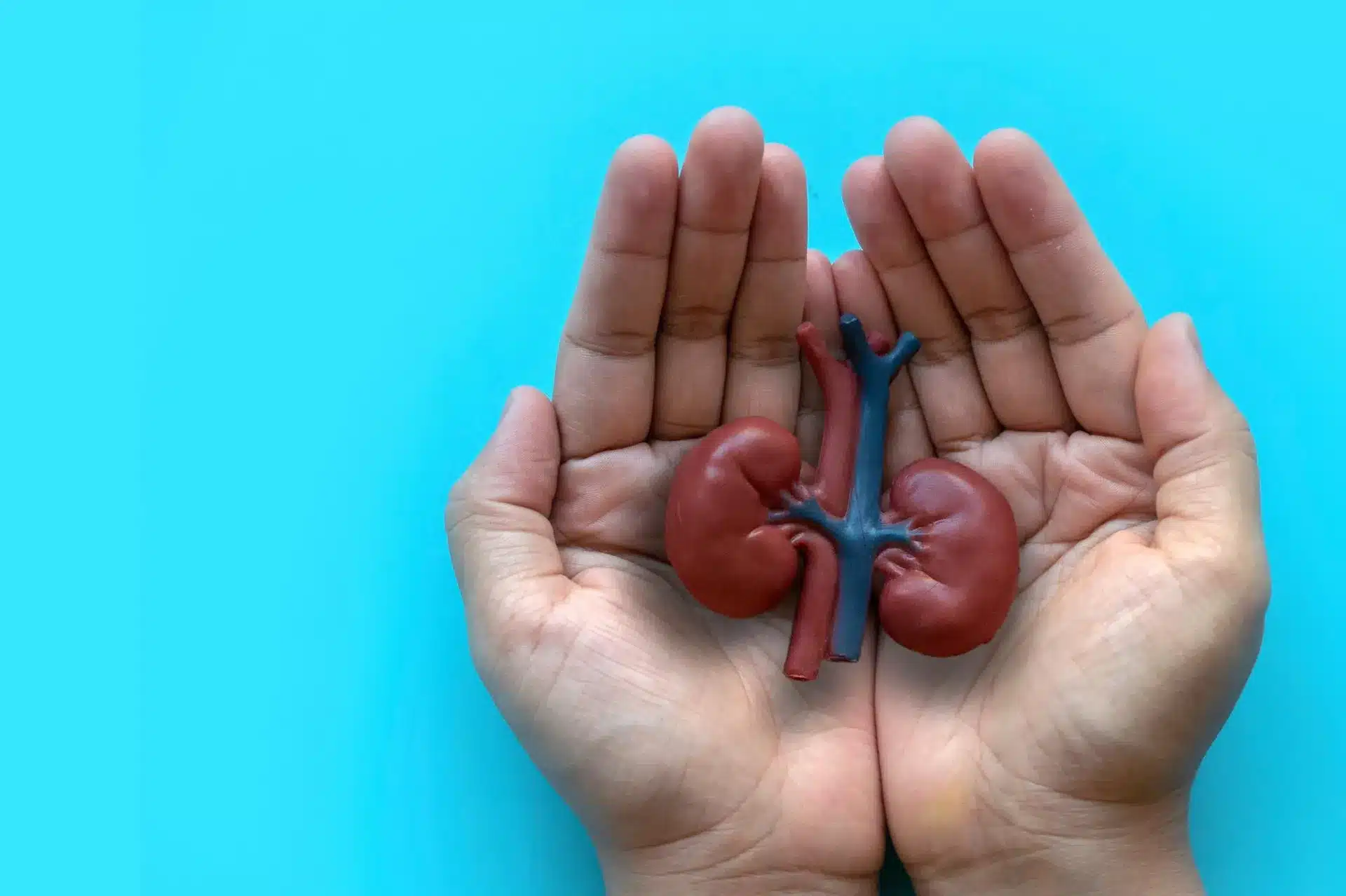 Hidronefrosis renal: causas y tratamientos – Dr. Jeilan Urólogo